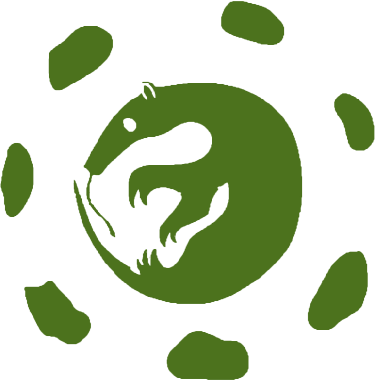 Tamandua Expeditions List